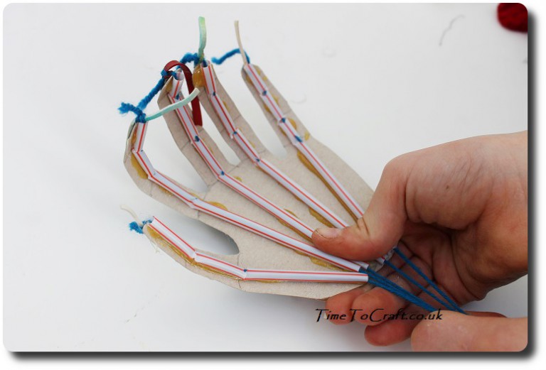 An articulated hand project - science project - Time To Craft